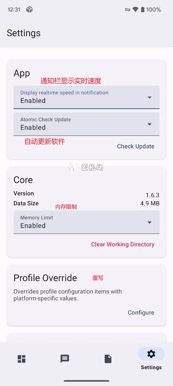 sing-box for Android 使用教程-爱机场